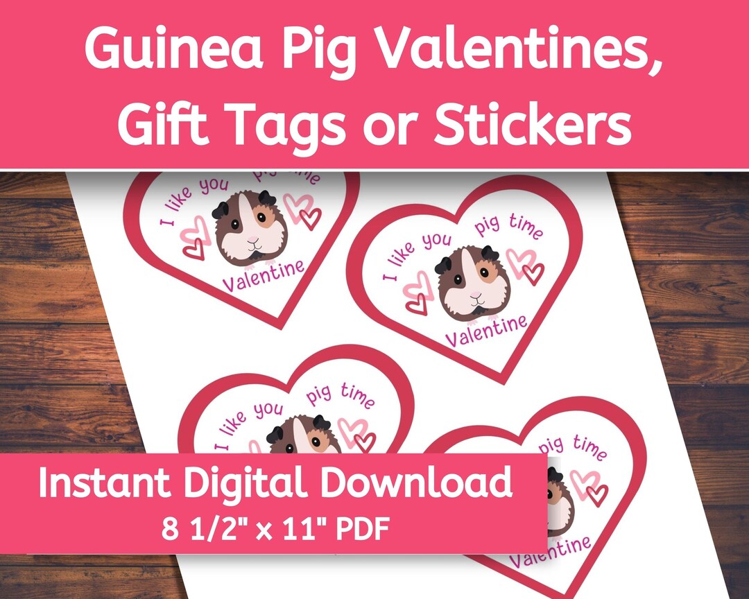 Printable Guinea Pig Valentines, Gift Tags or Stickers - Etsy