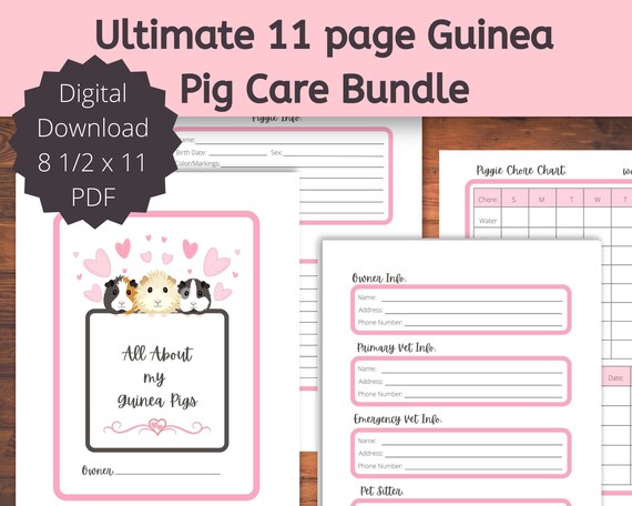 Guinea Pig Chore Vhart
