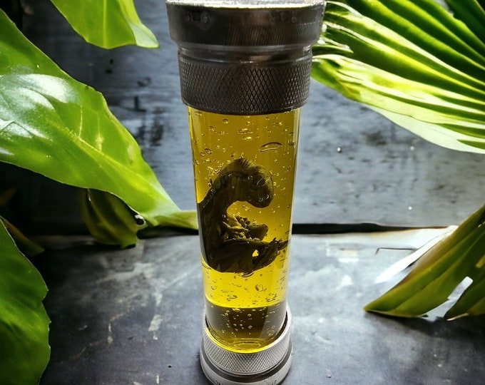 Velociraptor Blue Version Embryo Glass Container Jurassic Park Jurassic ...