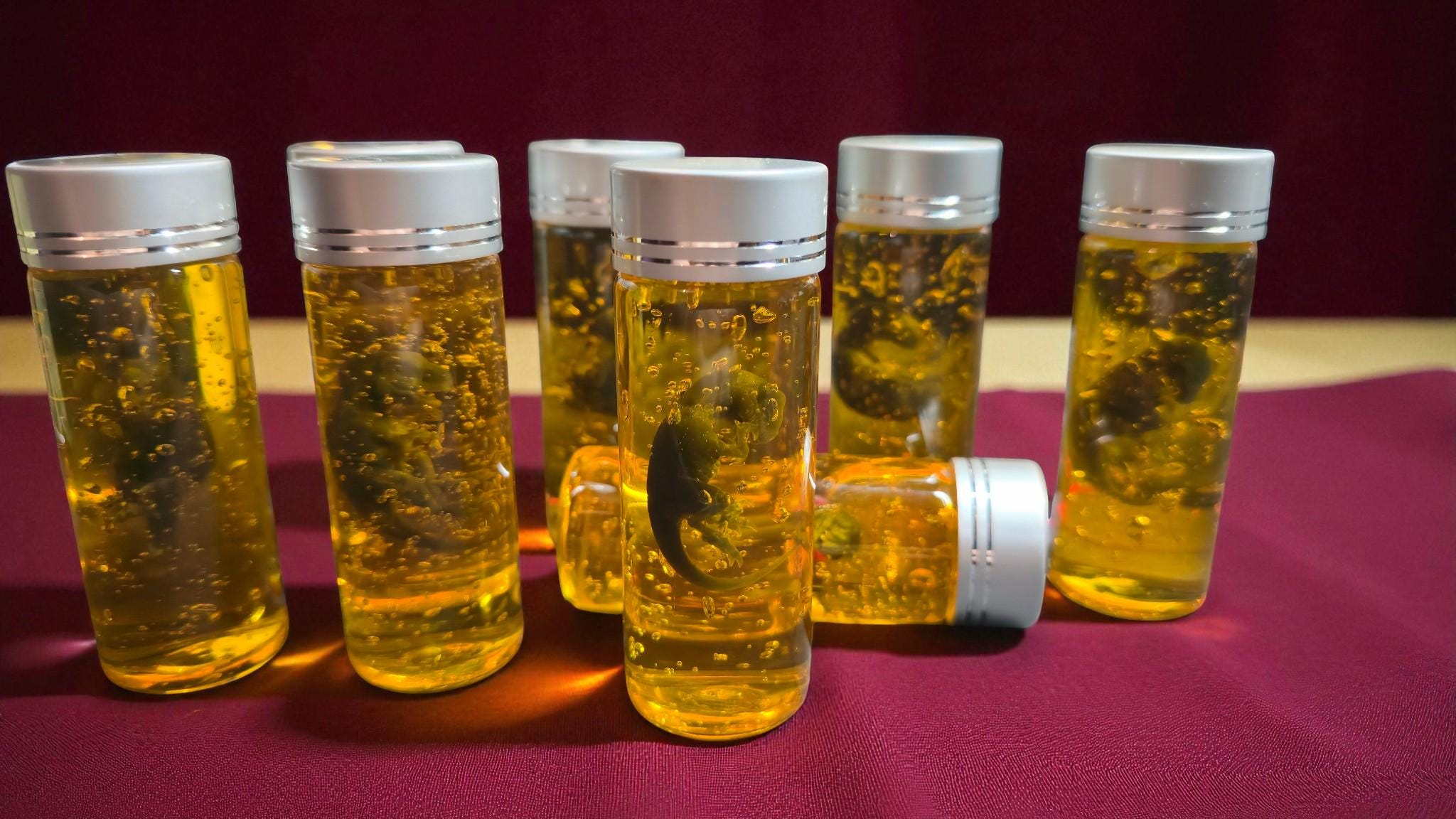 Raptor Embryo Vial | T-rex Embryo | Raptor Blue | Jurassic Lab Replica ...