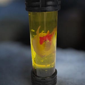 Half-life 2 Headcrab Container Cosplay Gordon Freeman Valve Steam Half ...