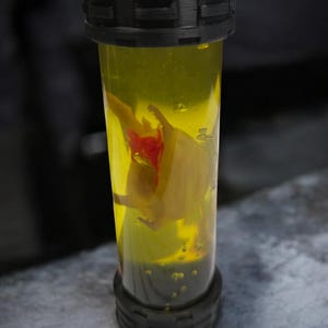 Half-life 2 Headcrab Container Cosplay Gordon Freeman Valve Steam Half ...