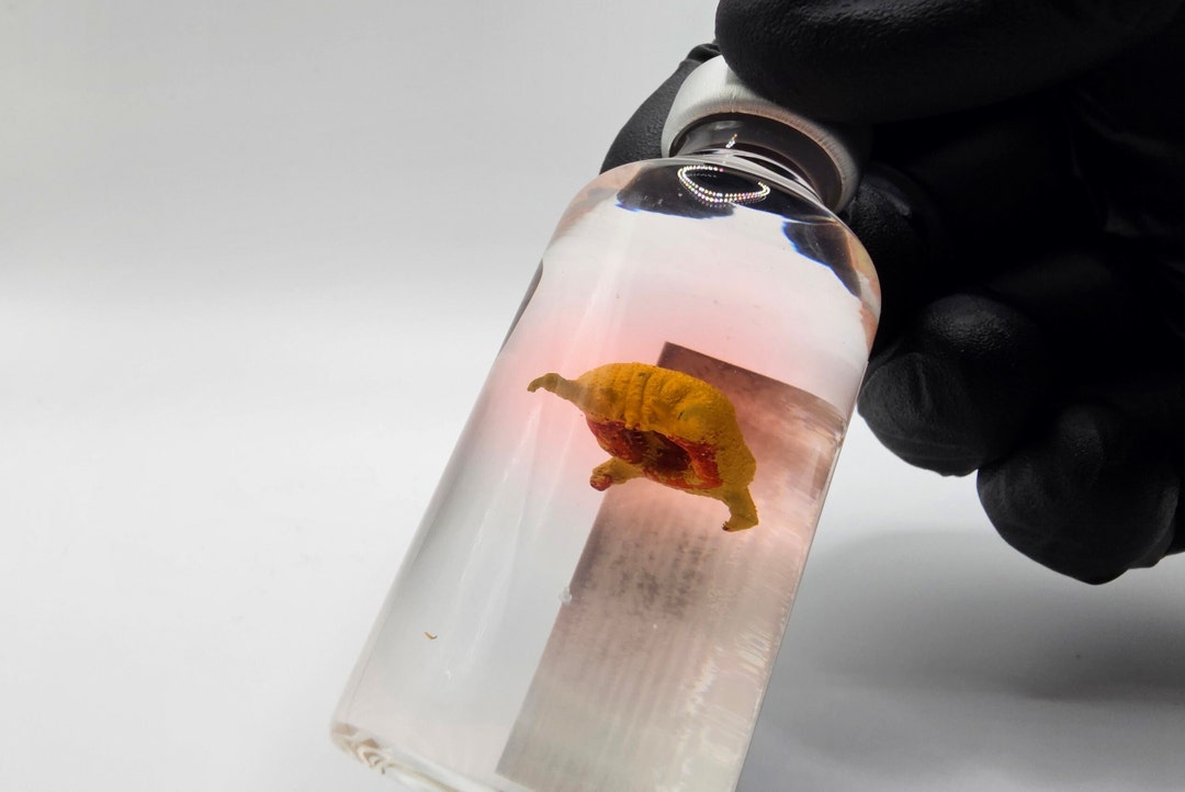 Half-life 2 Headcrab Flask City 17 Cosplay Prop, Collectible Game Prop ...