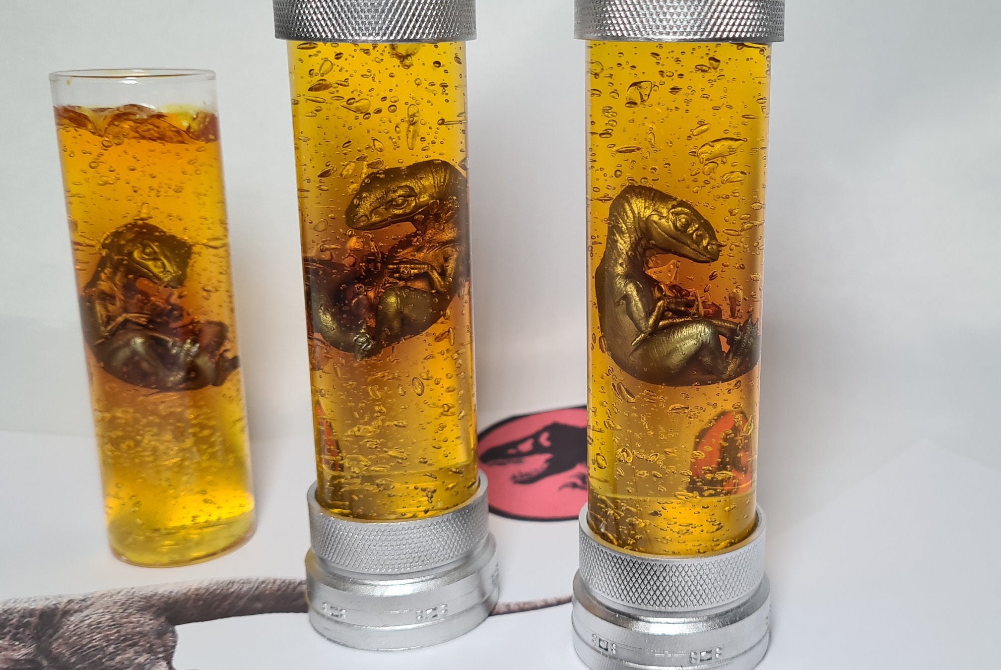 Velociraptor Embryo Glass Container Jurassic Park Jurassic - Etsy Canada