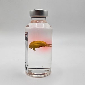 Headcrab Half Life 2 City 17 Gordon Freeman Combine Soldier Cosplay ...