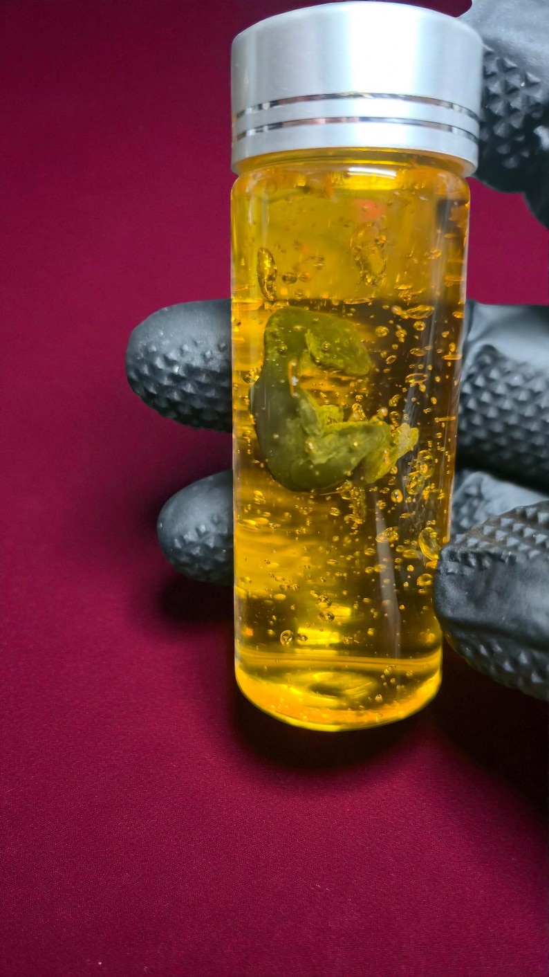 Raptor Embryo Vial | T-rex Embryo | Raptor Blue | Jurassic Lab Replica ...