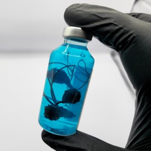 SCP-405- Telepathy Virus Vial / Cosplay / SCP / Creepy Pasta / Object ...