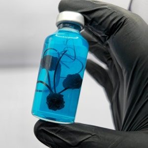 SCP-405- Telepathy Virus Vial / Cosplay / SCP / Creepy Pasta / Object ...