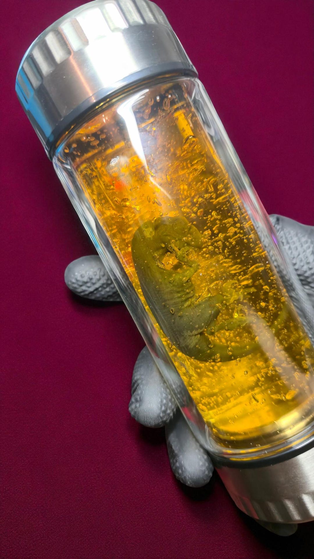Jurassic Park Lab Glass Container | Raptor or T-rex Embryo | Handmade ...