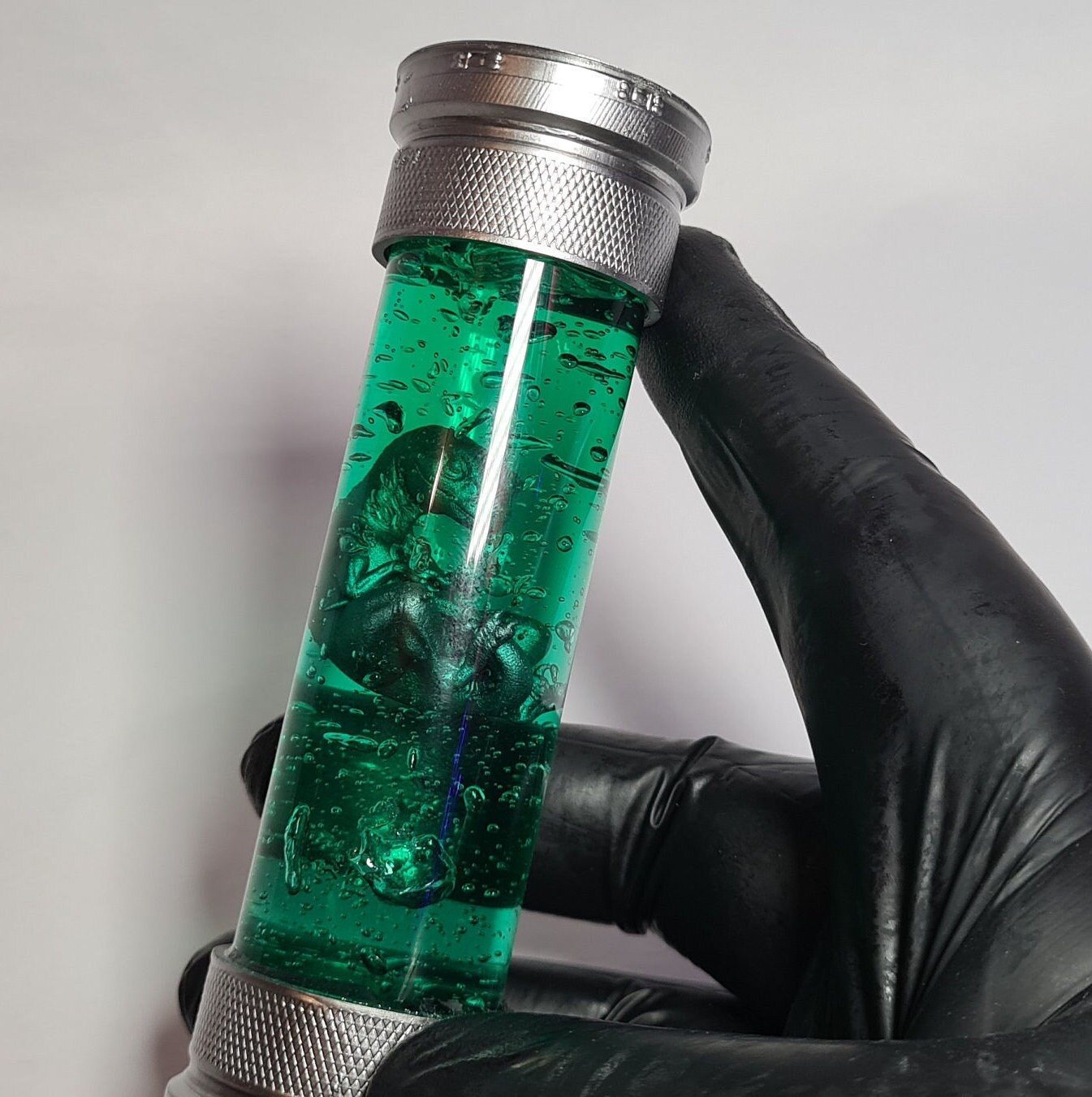 Velociraptor Embryo Glas-container Jurassic Park Jurassic - Etsy Canada