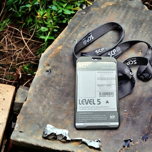 SCP Access Cards / SCP Cosplay ID Cards / Plastic Cards / Protective ...