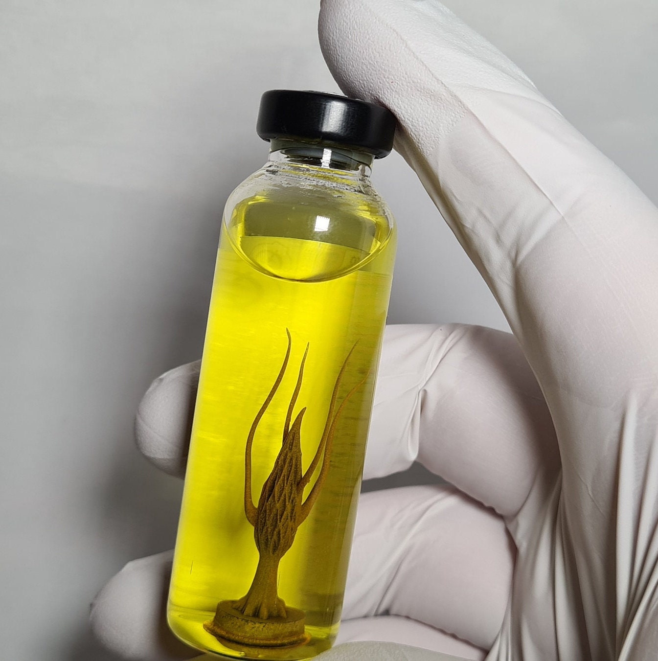 SCP-129 Advanced Fungal Infection / Cosplay / SCP / Creepy - Etsy