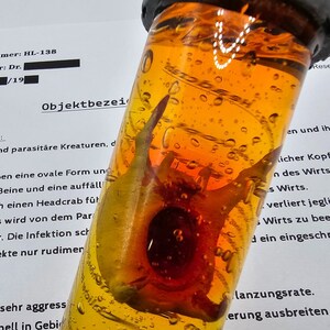 Half-life 2 Headcrab Container Cosplay Gordon Freeman Valve Steam Half ...