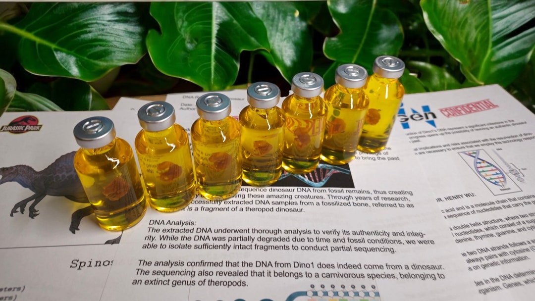 Jurassic Park Velociraptor Embryo T-Rex, Dilo, Procera, Spino et plus ...