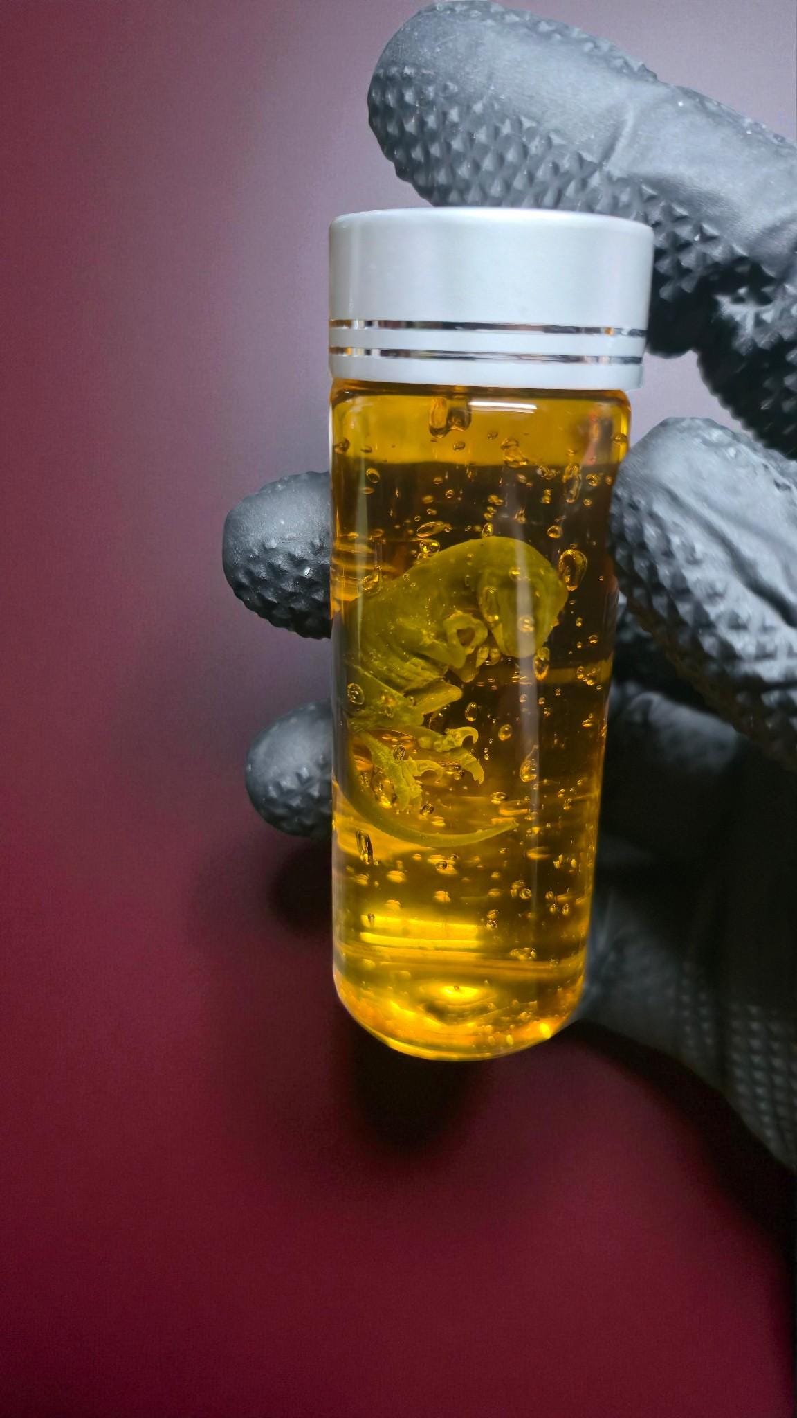 Raptor Embryo Vial | T-rex Embryo | Raptor Blue | Jurassic Lab Replica ...