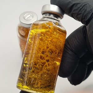 The Last of Us Cordyceps Sample Glass Vial Collector Prop Laboratory ...