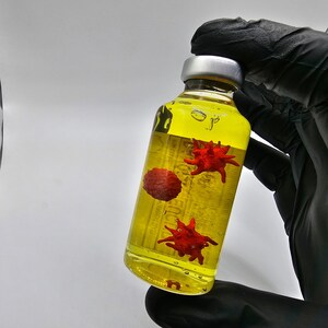 SCP-164 Squid Tumors Object Class: Euclid / Euclid / Cosplay / Creepy ...