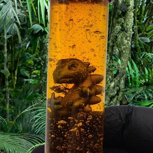 Velociraptor, Spino, T-rex, Trike, Stego, Mosa Dino Embryo Glass ...