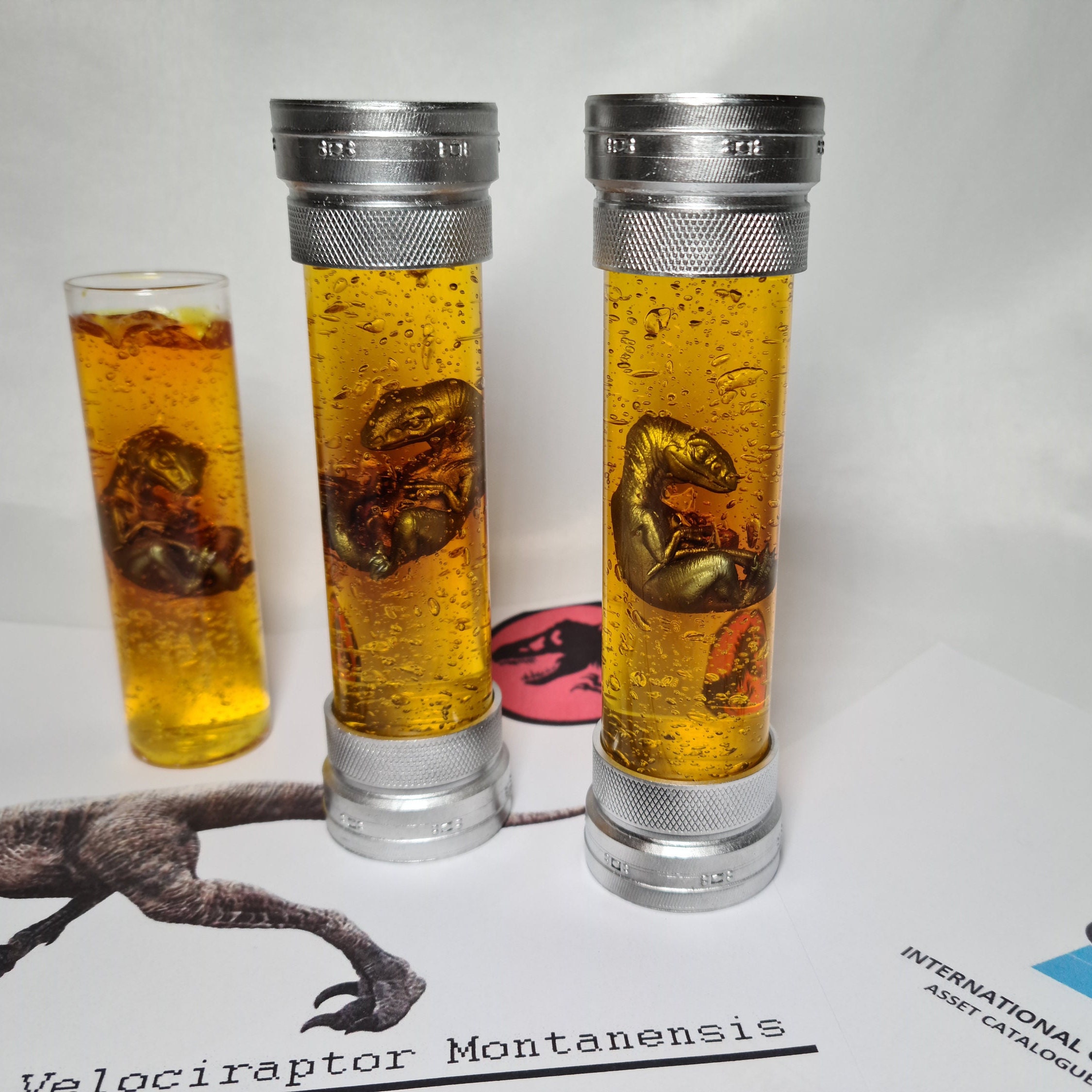Velociraptor Embryo Glass Container Jurassic Park Jurassic - Etsy Canada