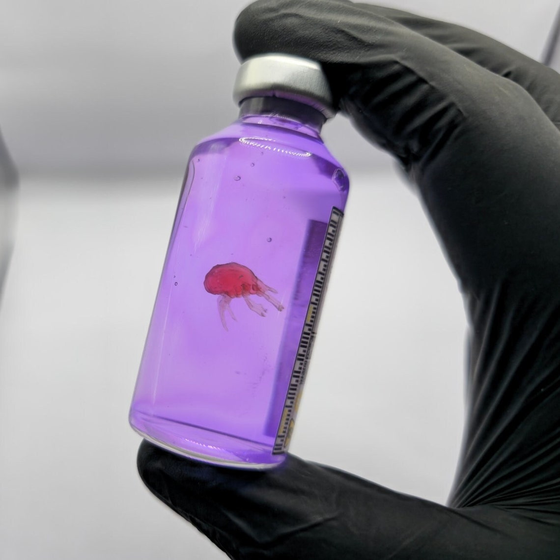 SCP-027 God of Vermin / Cosplay / SCP / Creepy Pasta / - Etsy UK