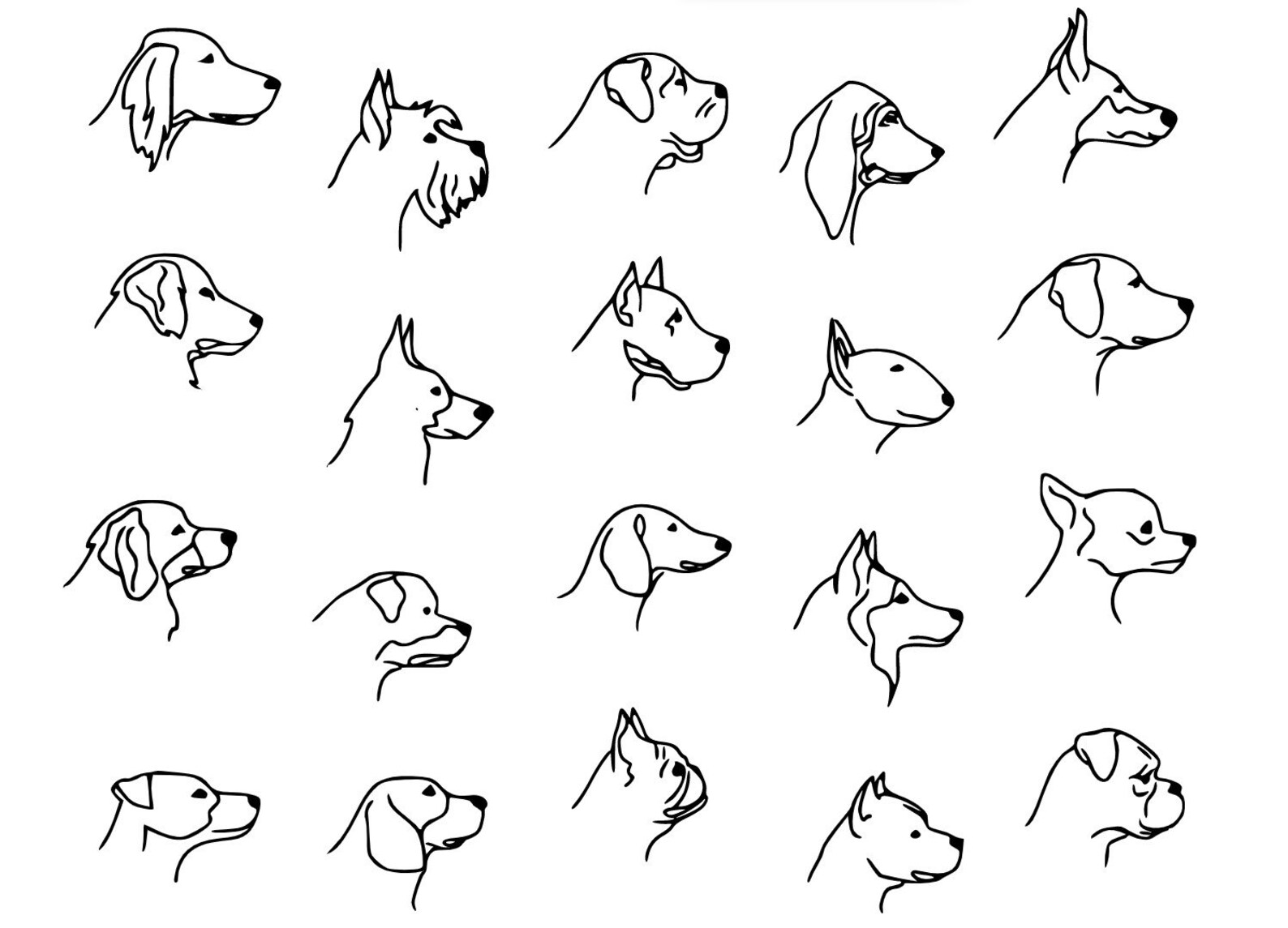 Original Dog Breed Vectors digital Download - Etsy
