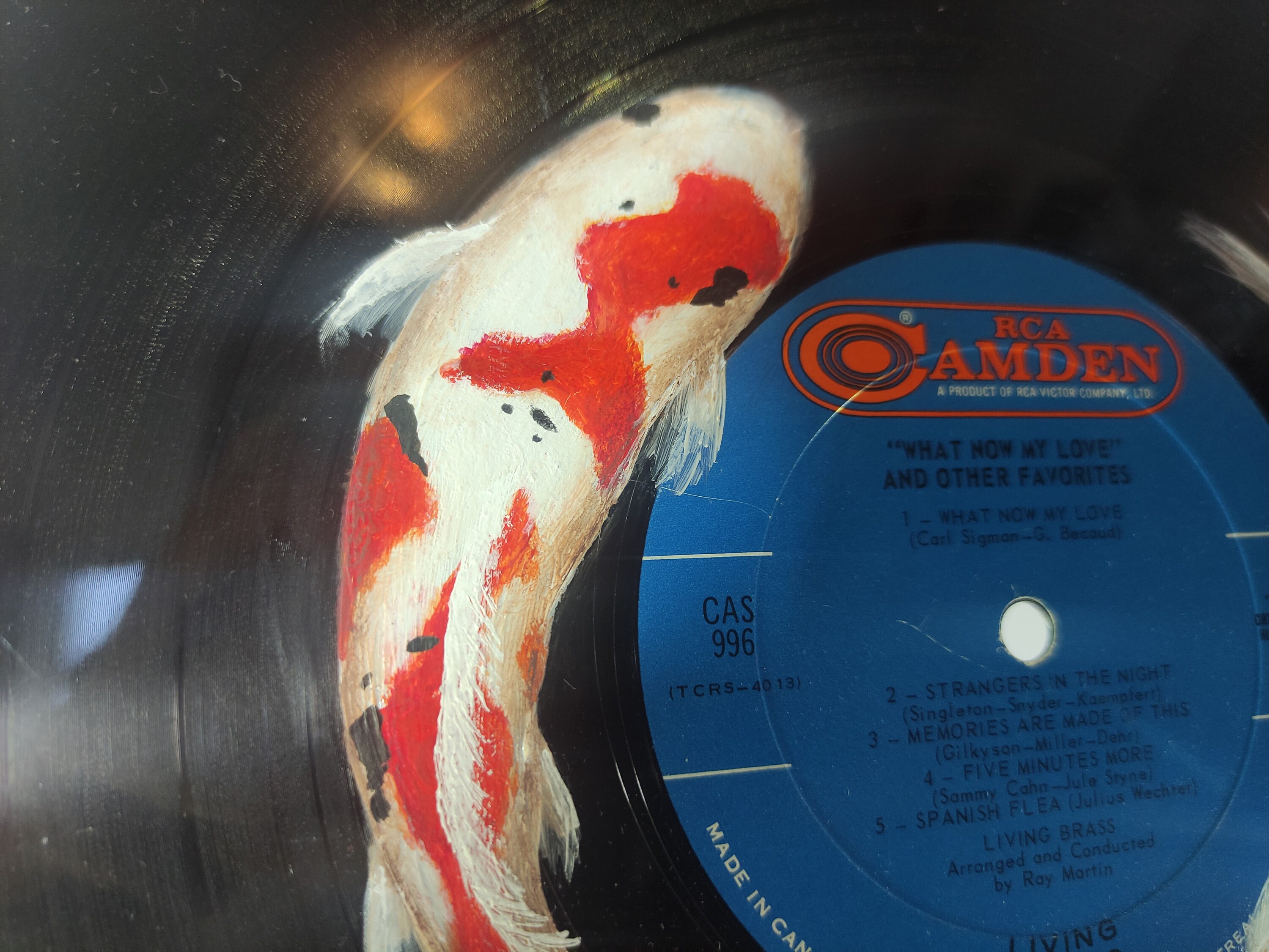 Koi Fish Hand-painted Vinyl Record - Etsy