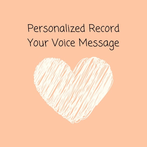 Add a Voice Box to Your Plushie! - Etsy