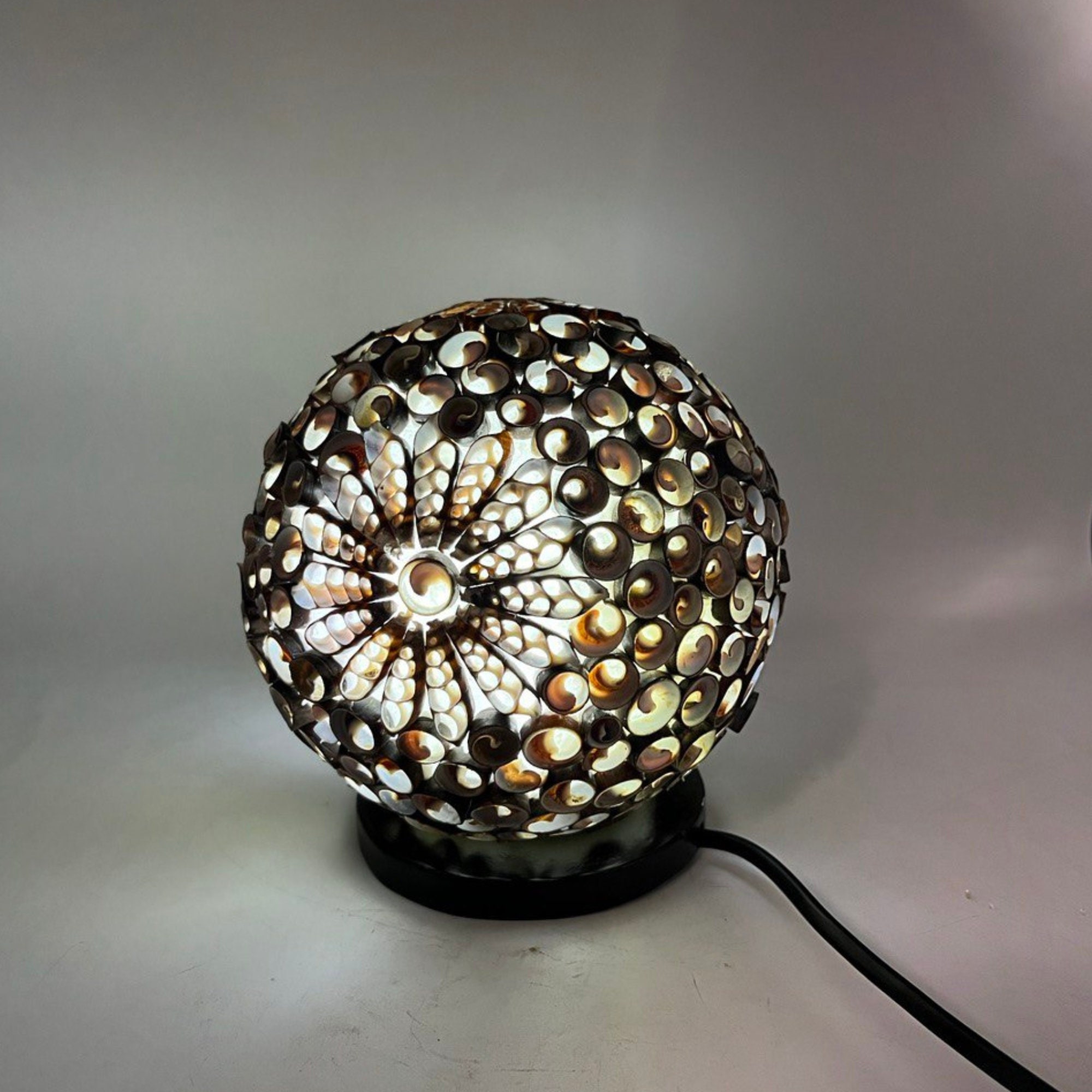 Chocolate Twisted Globe Shell Lamp 15cm - Etsy