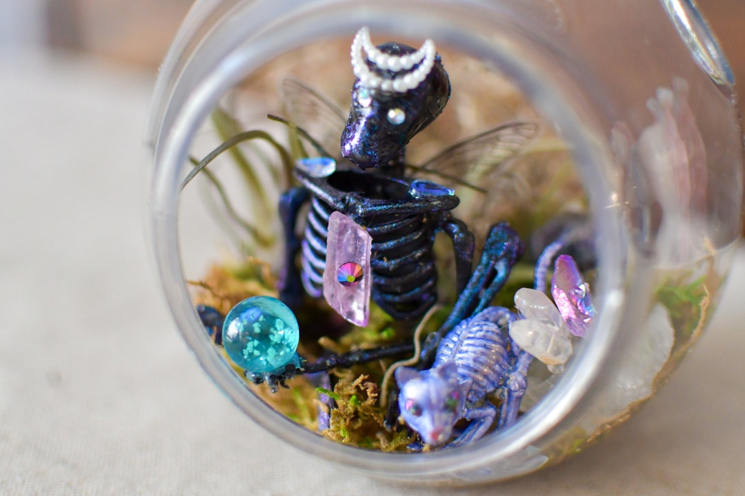 Moon Fairy Skeleton - Etsy