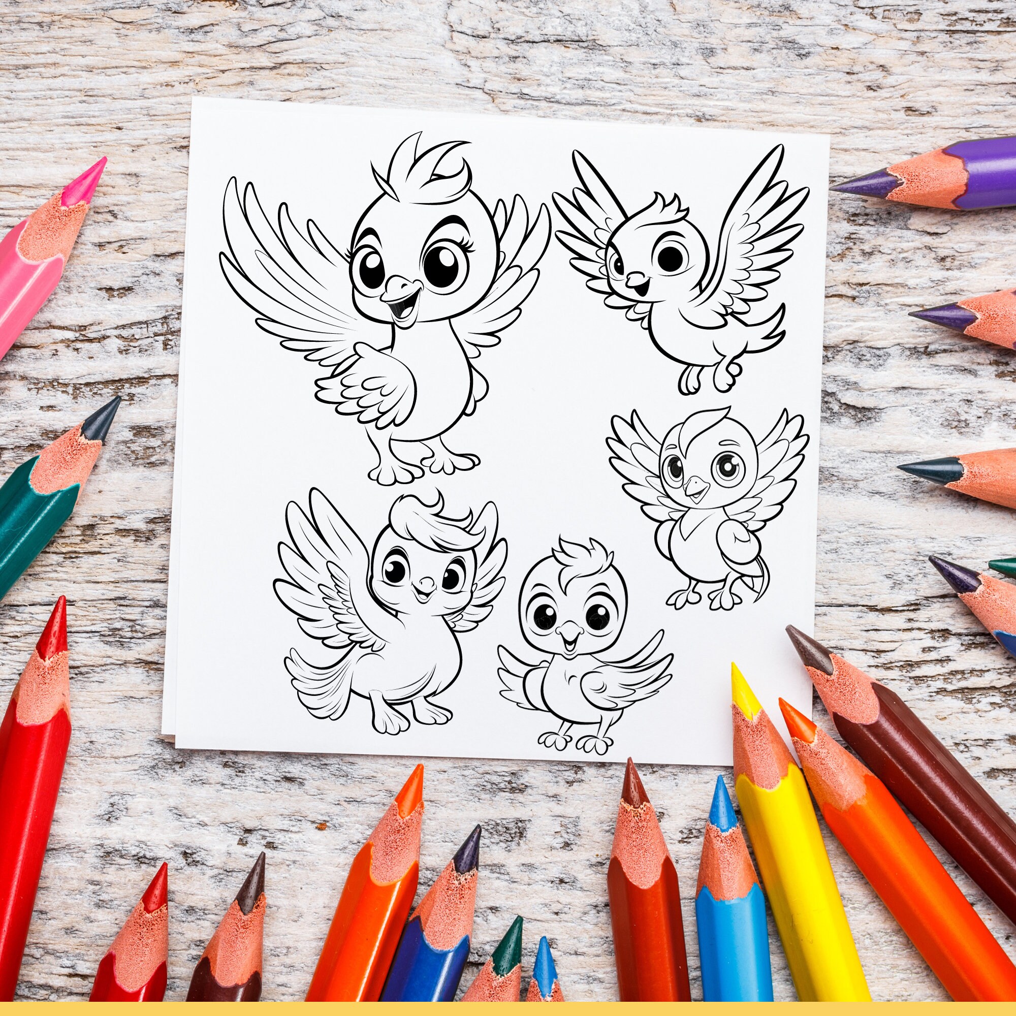 Birds Coloring Pages, Birds SVG Bundle, Birds Png File, Birds EPS File ...