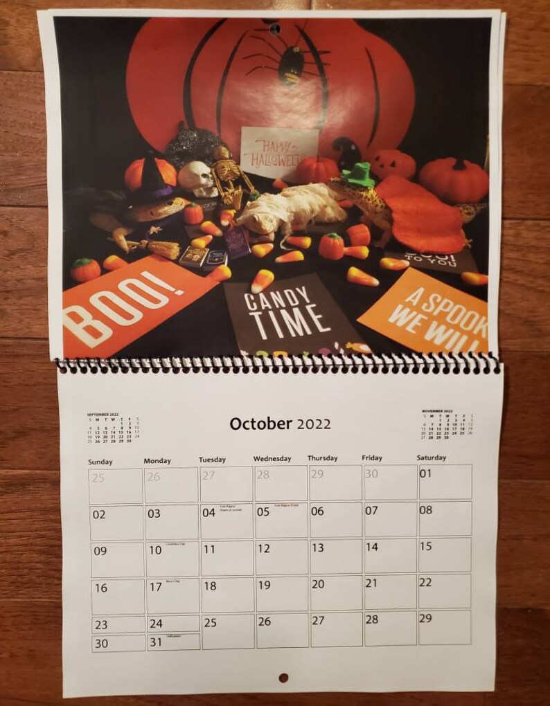 12 Months of Goofy Geckos 2022 Calendar - Etsy