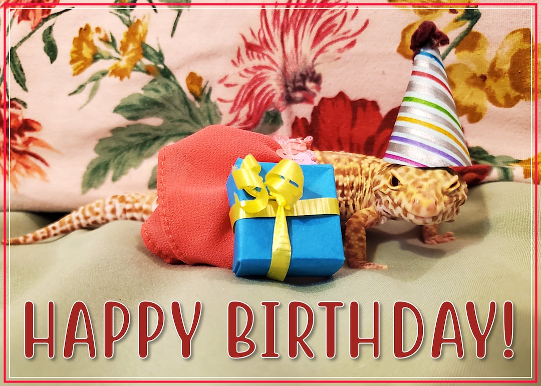 Happy Birthday Card - Perfect for Leopard Gecko and Reptile Lovers! - Etsy