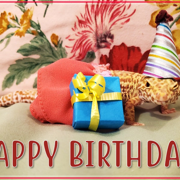 Leopard Gecko - Etsy