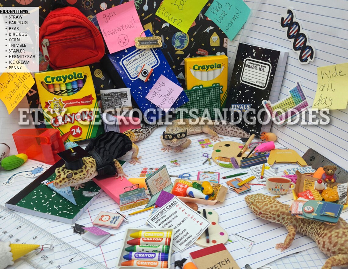 12 Months of Goofy Geckos Seek and Find 2023 Calendar - Etsy