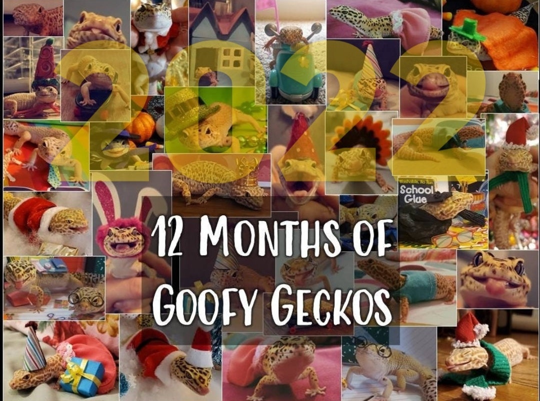 12 Months of Goofy Geckos 2022 Calendar - Etsy