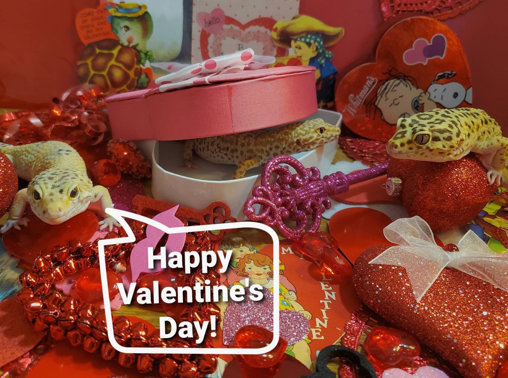 Leopard Gecko Valentine's Day Card - Etsy