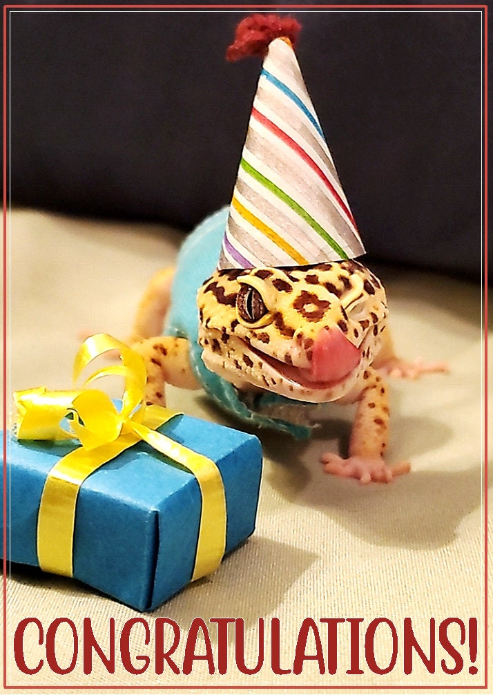 Leopard Gecko Congratulations Card - Etsy