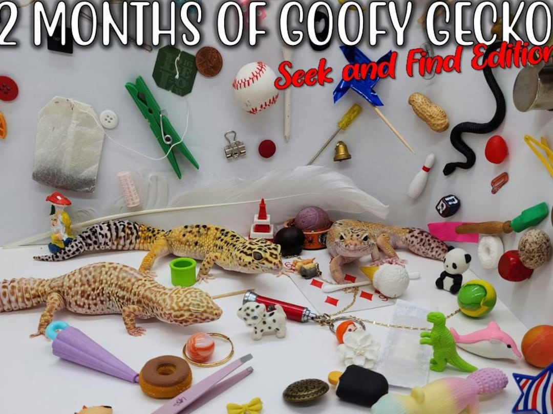 12 Months of Goofy Geckos Seek and Find *2023* Calendar - Etsy
