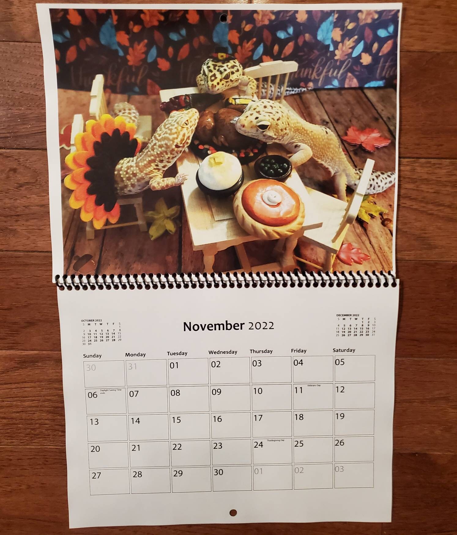 12 Months of Goofy Geckos 2022 Calendar | Etsy UK