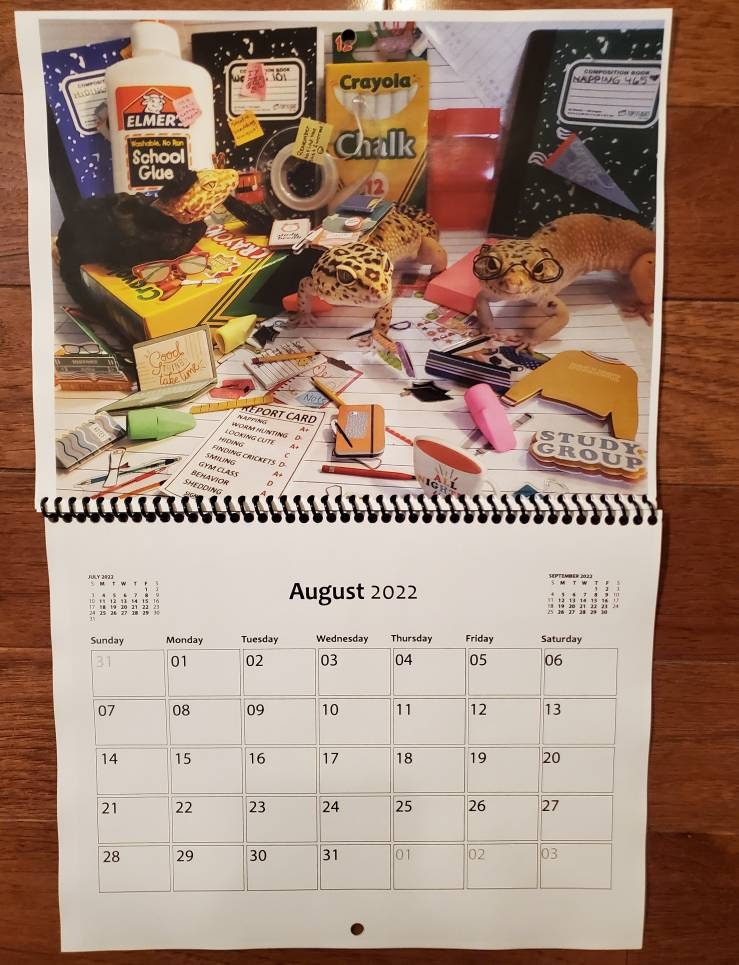 12 Months of Goofy Geckos 2022 Calendar | Etsy UK