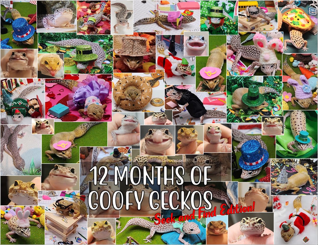 12 Months of Goofy Geckos Seek and Find 2026 Calendar - Etsy