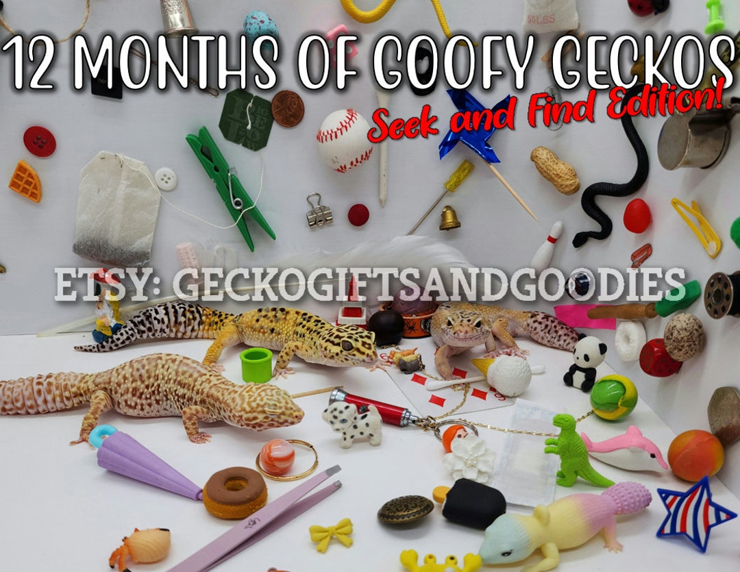 12 Months of Goofy Geckos Seek and Find 2023 Calendar - Etsy