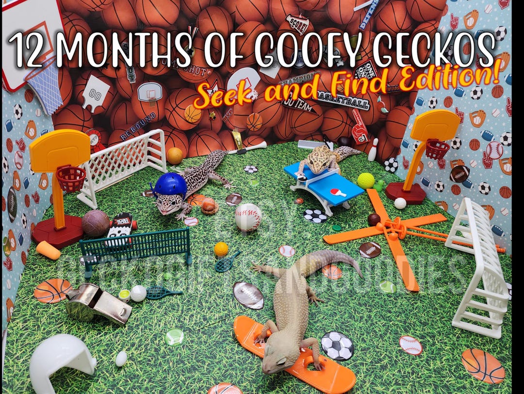 12 Months of Goofy Geckos Seek and Find 2025 Calendar - Etsy