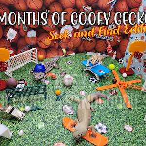 12 Months of Goofy Geckos Seek and Find 2025 Calendar - Etsy