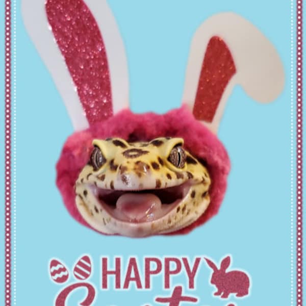 Leopard Gecko - Etsy