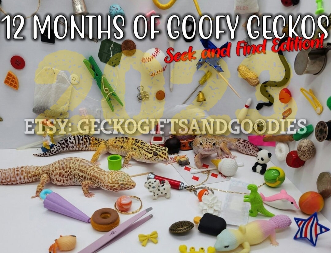 12 Months of Goofy Geckos Seek and Find 2023 Calendar - Etsy