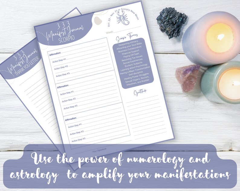 333 Manifestation Journal Zodiac Goal Setting Journal Law of Attraction ...