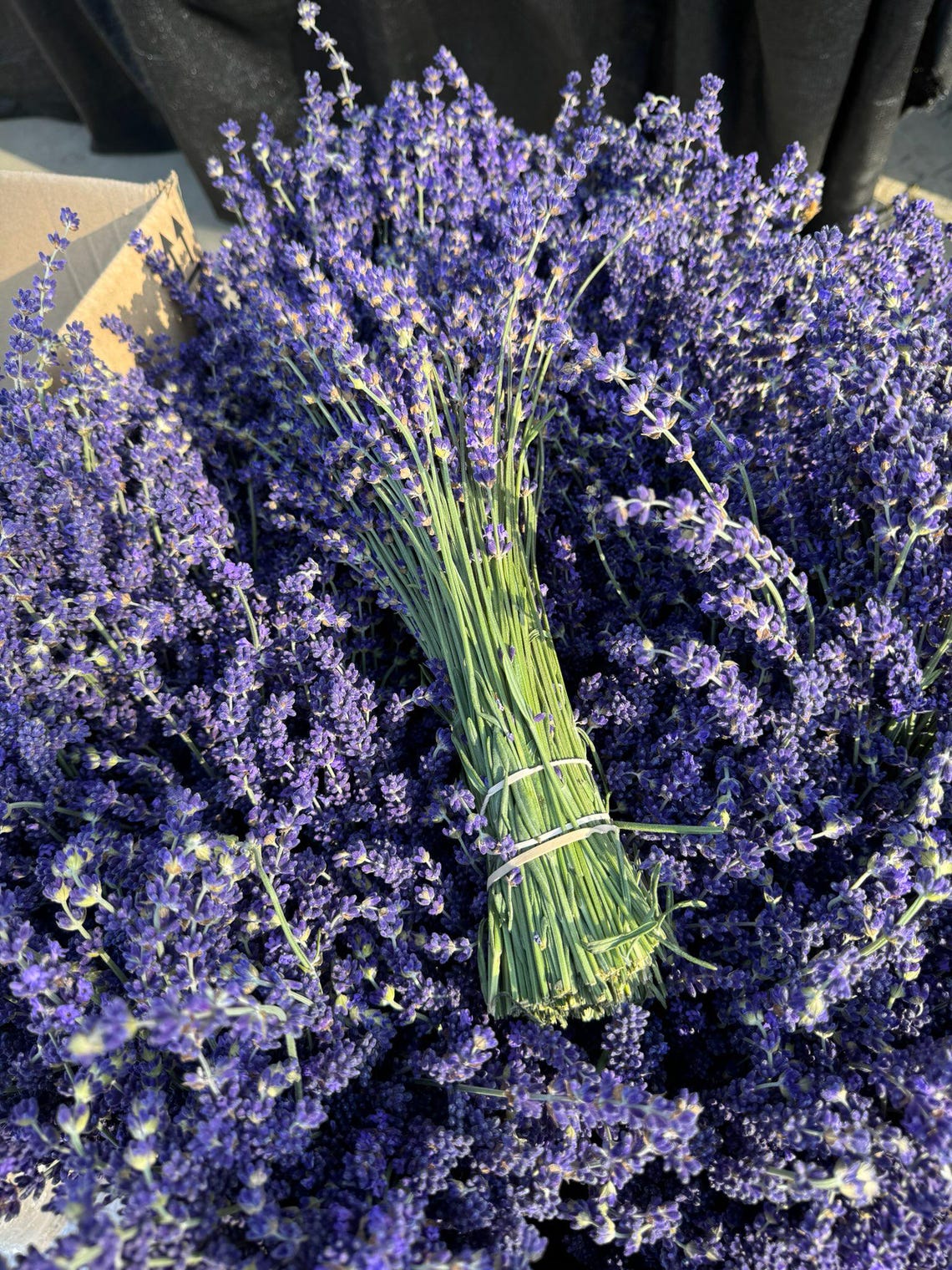 Lavender Potpourri Sachet- 2 Pack - Etsy