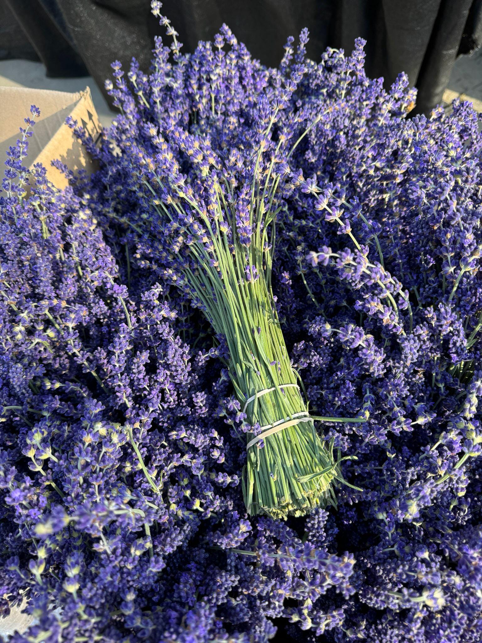 Lavender Potpourri Sachet- 2 Pack - Etsy