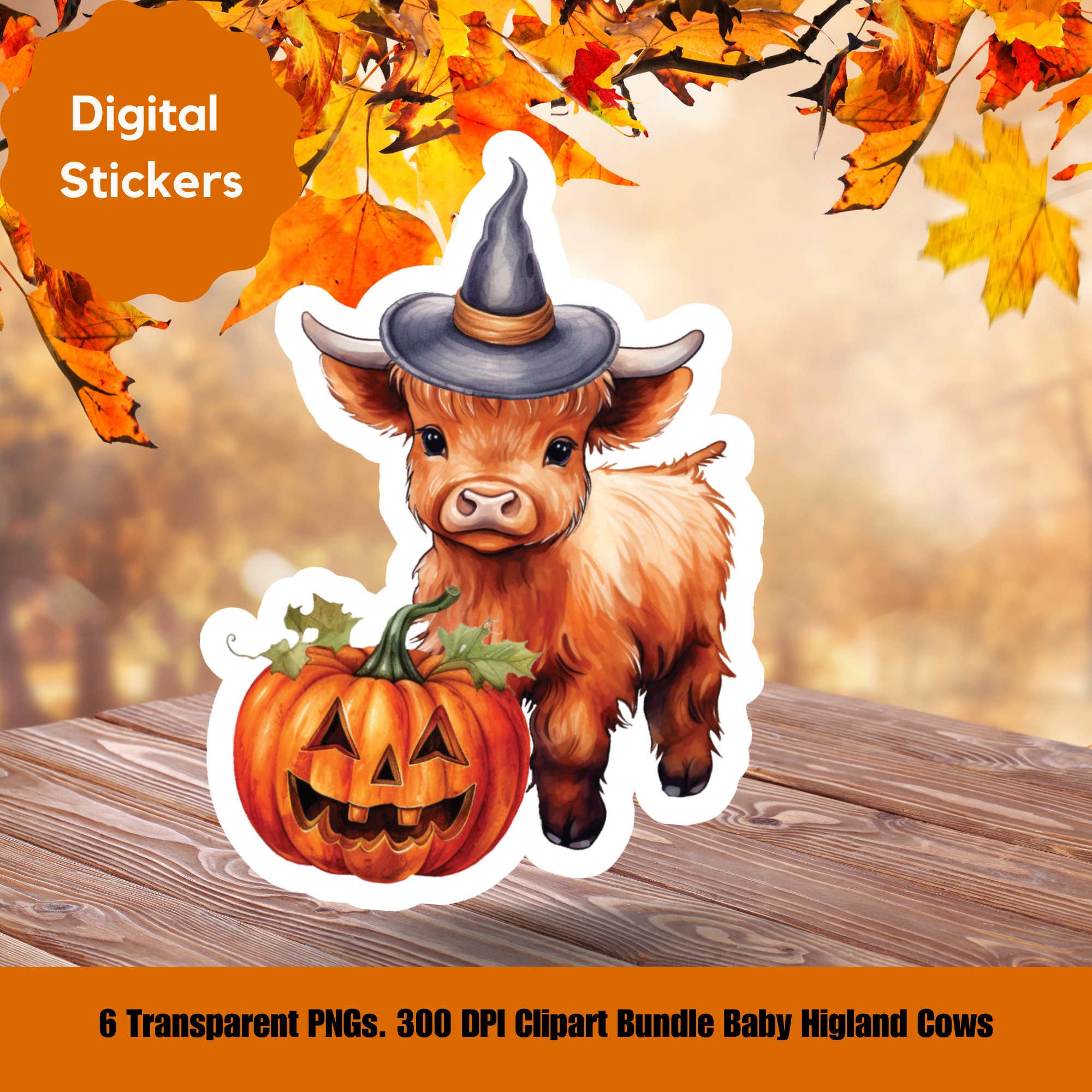 Baby Highland Cow Clipart Bundle. Transparent Pngs. Halloween Theme ...